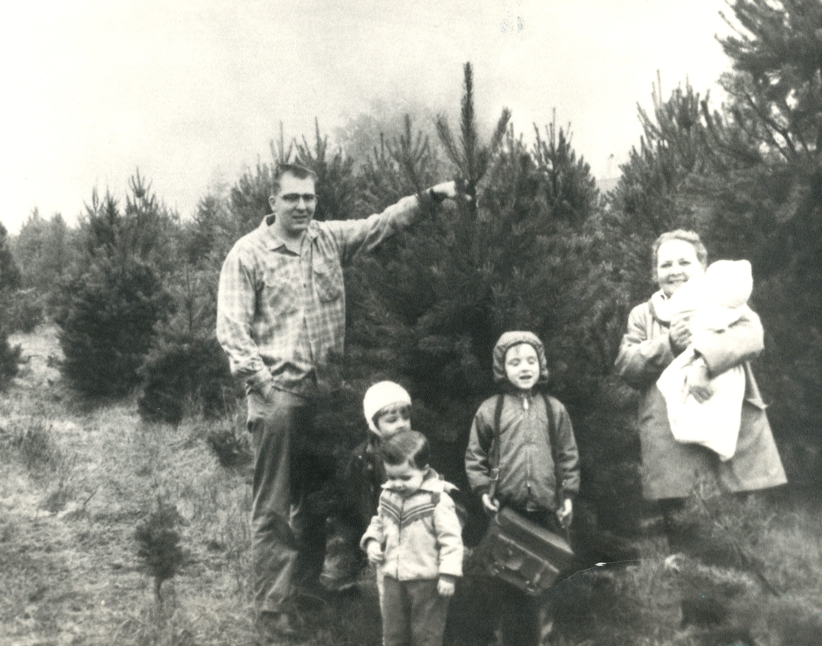 nb13 – Westover Family History